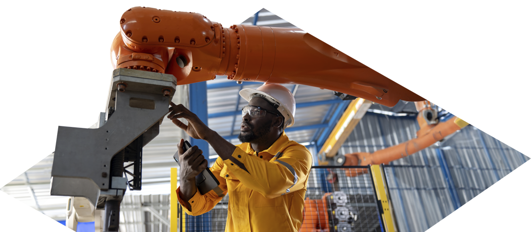 About Us: Our Purpose, Culture and History - RS Group